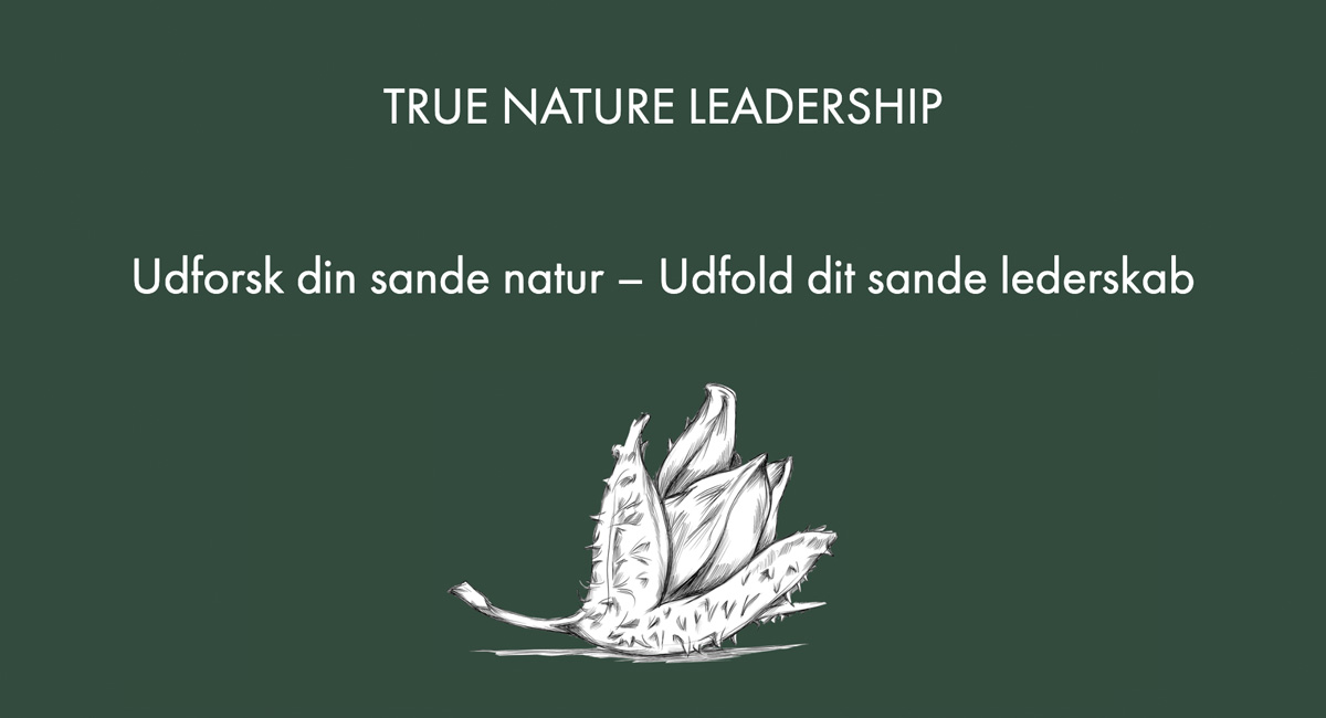 True Nature Leadership - True Nature Leadership